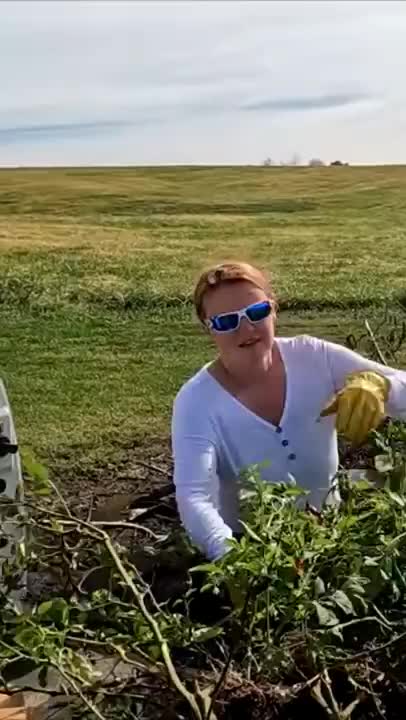 L&M Country Living (@l_m_country_living) - Urlebird