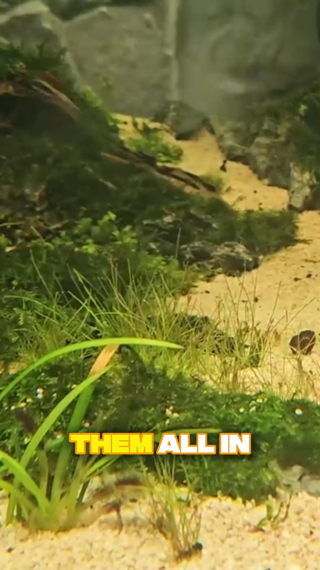 I Found a FLYING DRAGON in My Giant | AntsCanada FAN (@hiotronrp5p)