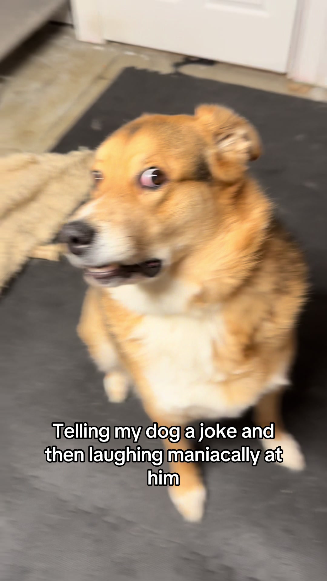 ? cc: @berkeley (adjusted a little bit) | wundegore (@wundegore)