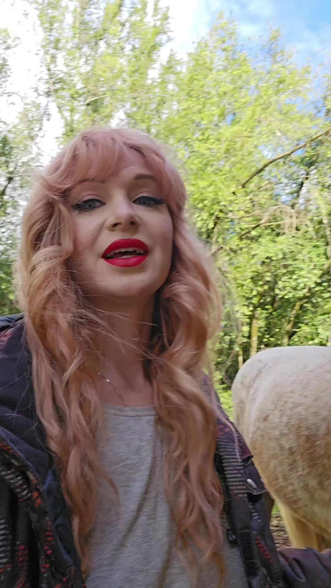 Dainty Rascal (@dainty.rascal.dancer) - Urlebird