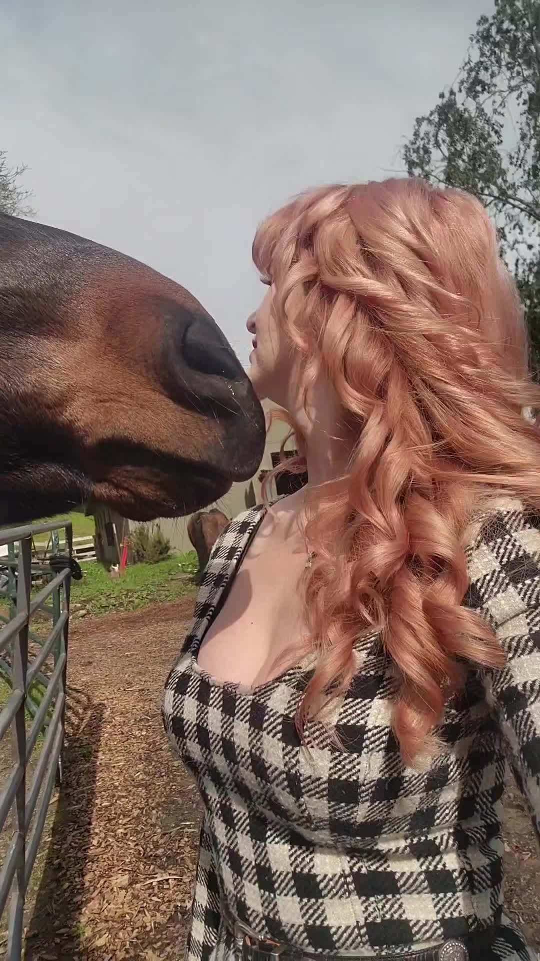 Dainty Rascal (@dainty.rascal.dancer) - Urlebird