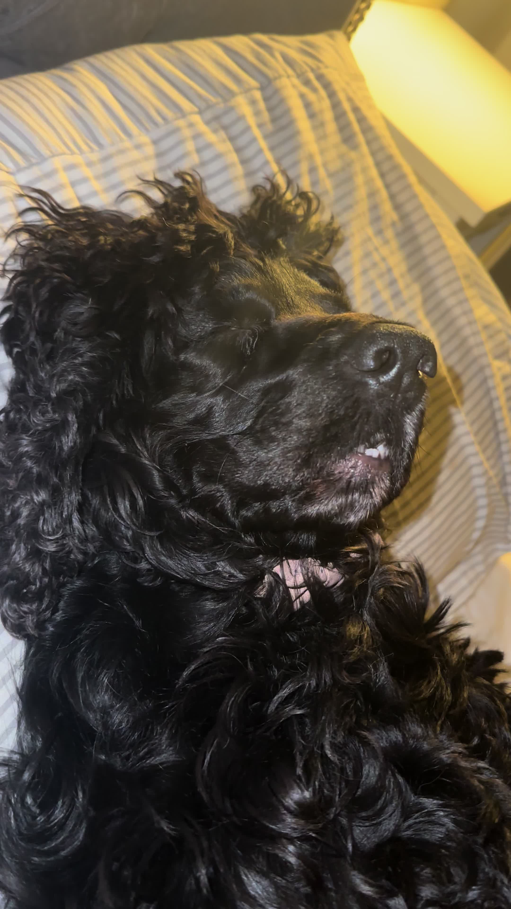 Ashlee Louise (@ashlee_louise) - Urlebird