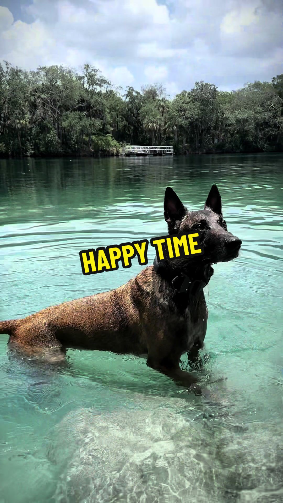 CERBERUS | Michael Rogosin (@shades_of_cerberus) - Urlebird