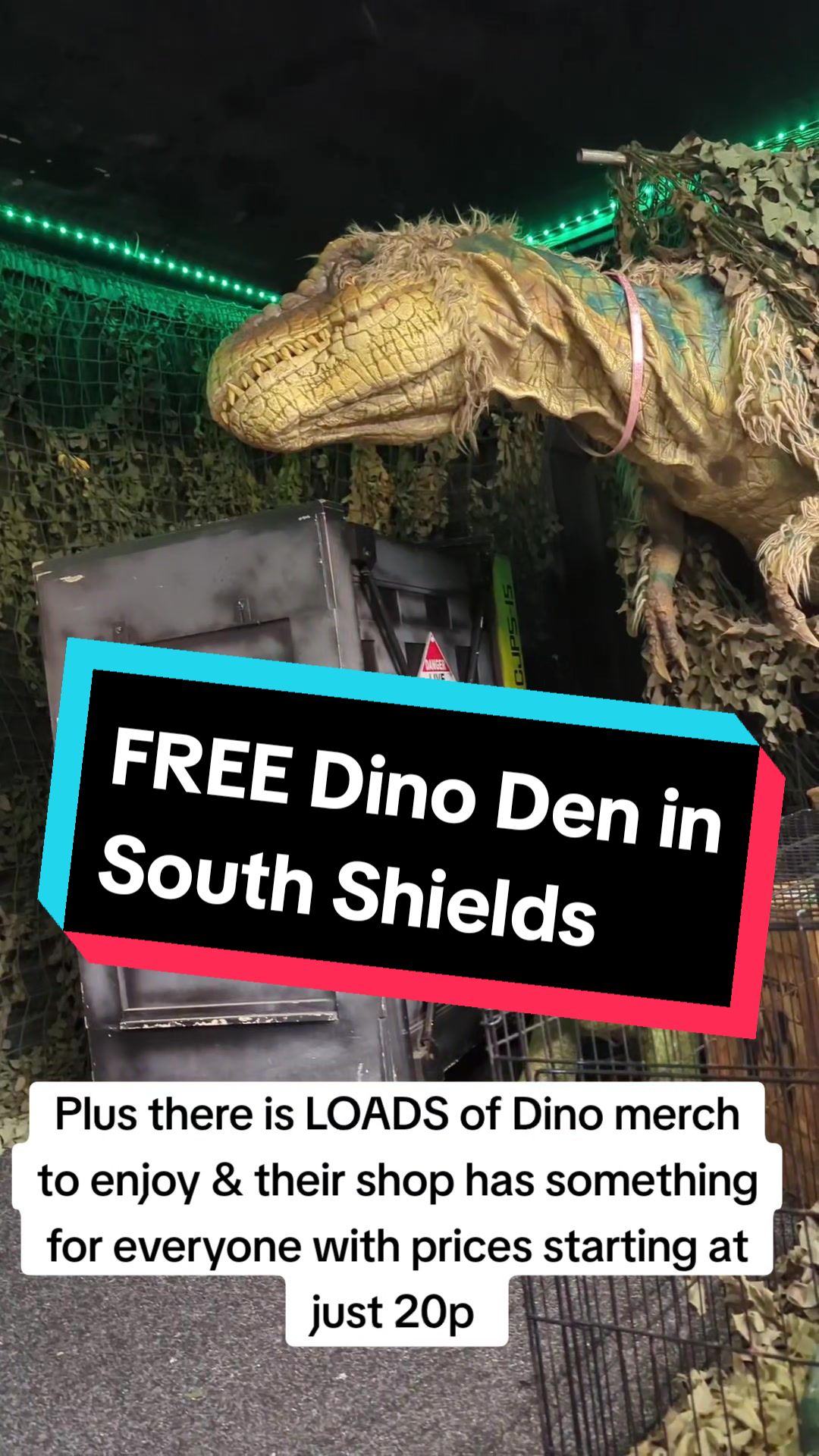 Check out @Rexys Reviews Dino Den in | North East Family Fun (@nefamilyfun)