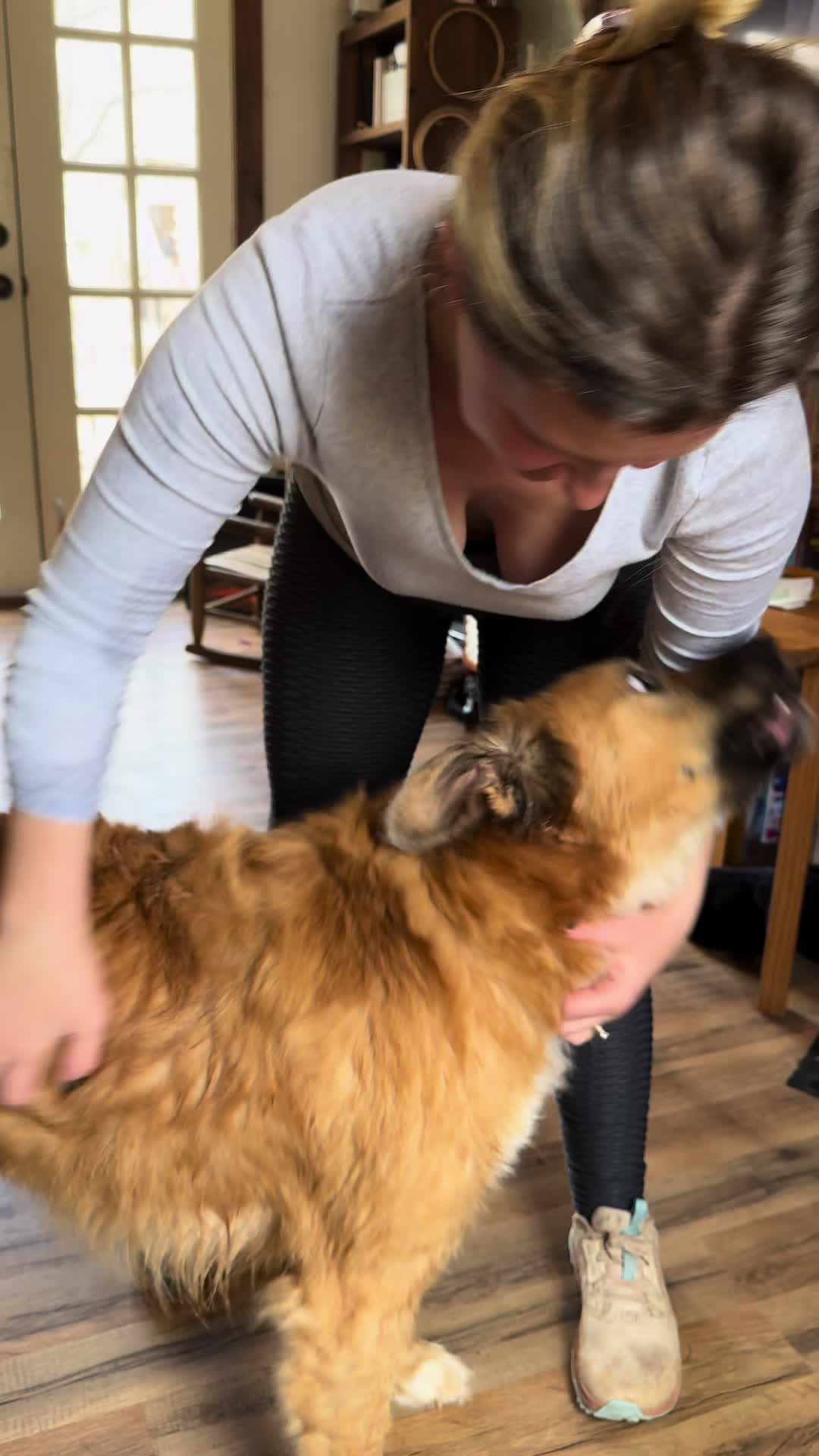 Mrs.BeaCullen_3 (@mrsbeacullen_) - Urlebird