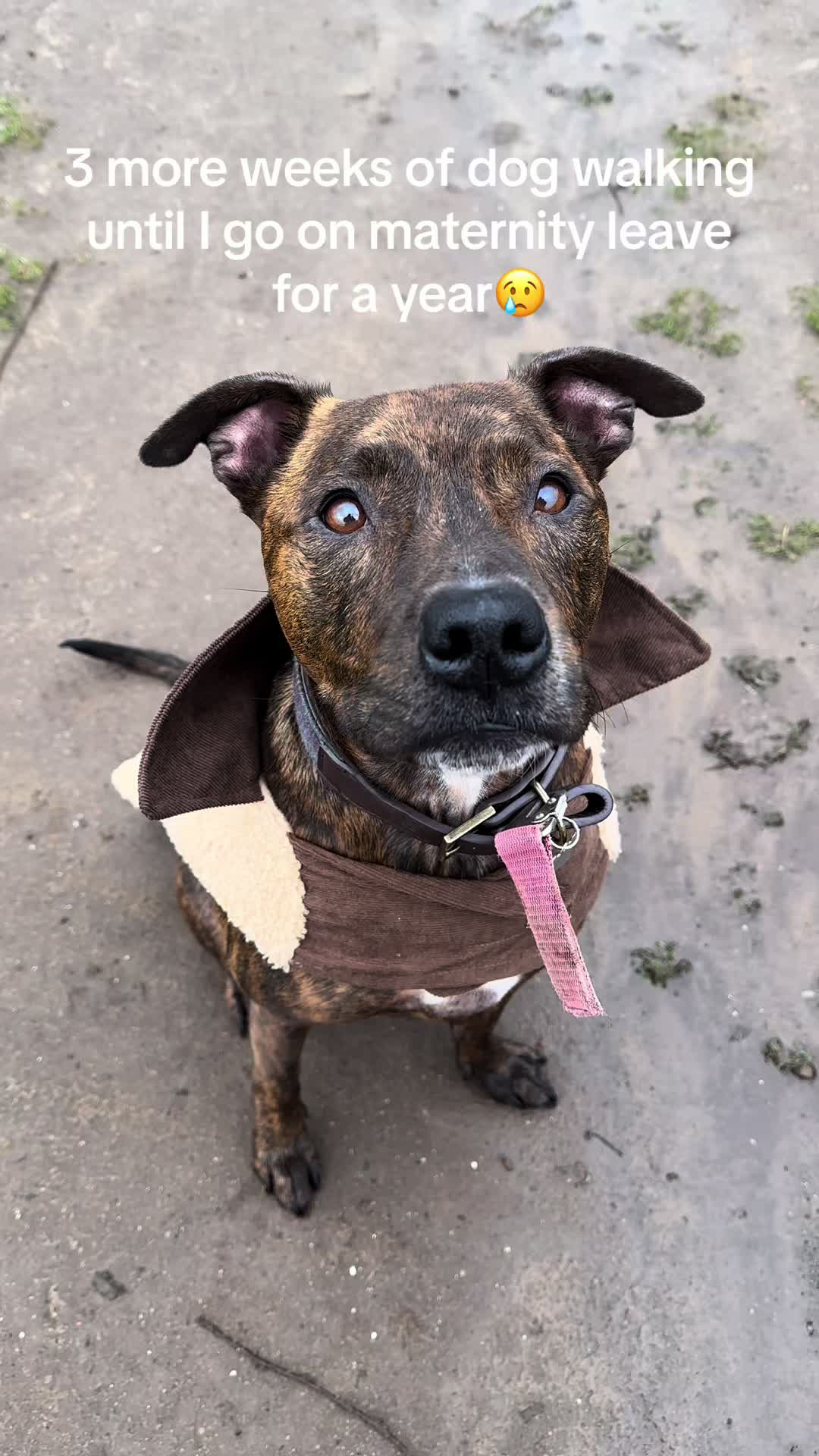 Ashlee Louise (@ashlee_louise) - Urlebird