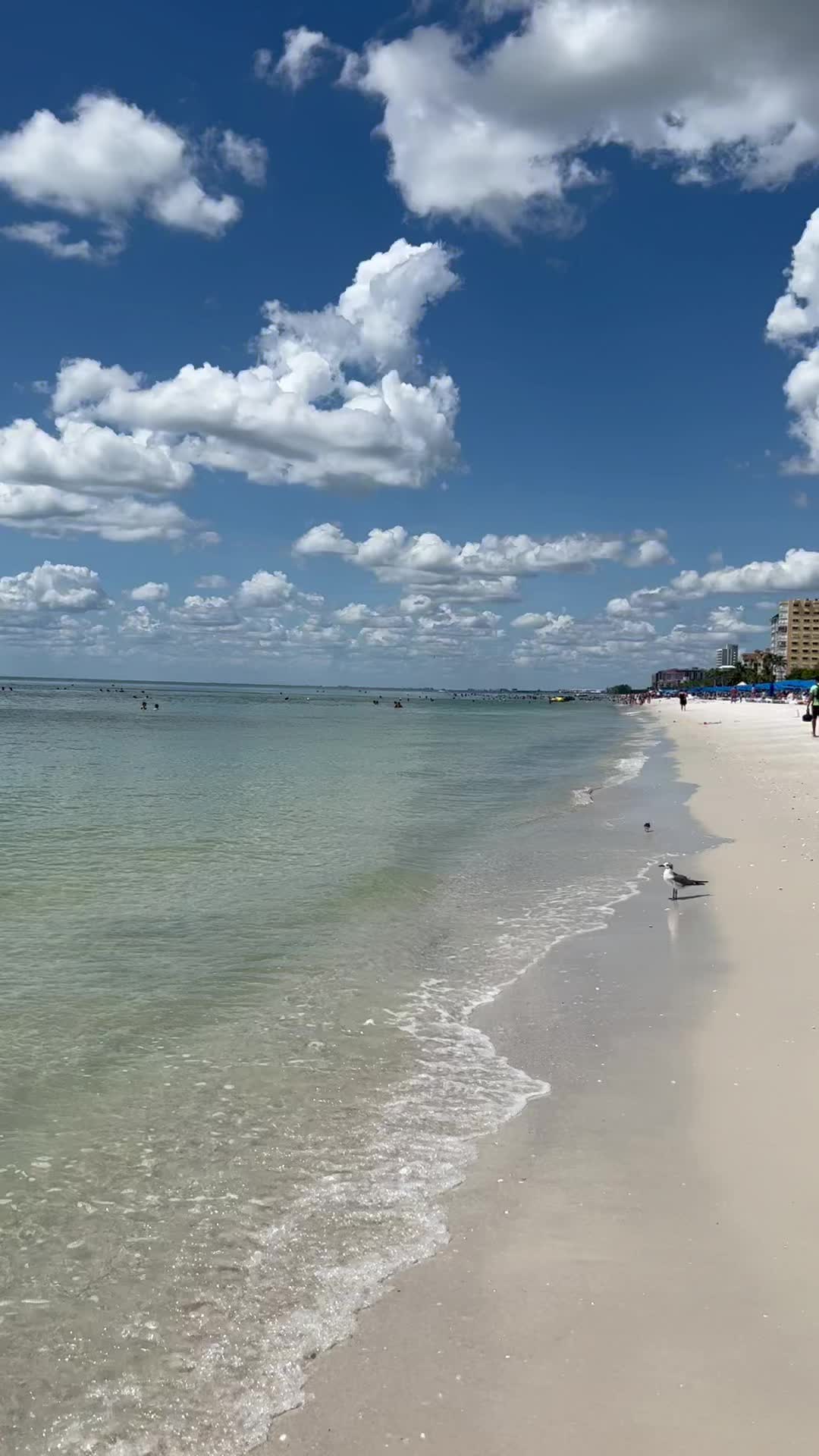 Sandra Fox (@sandrafox48) - Urlebird