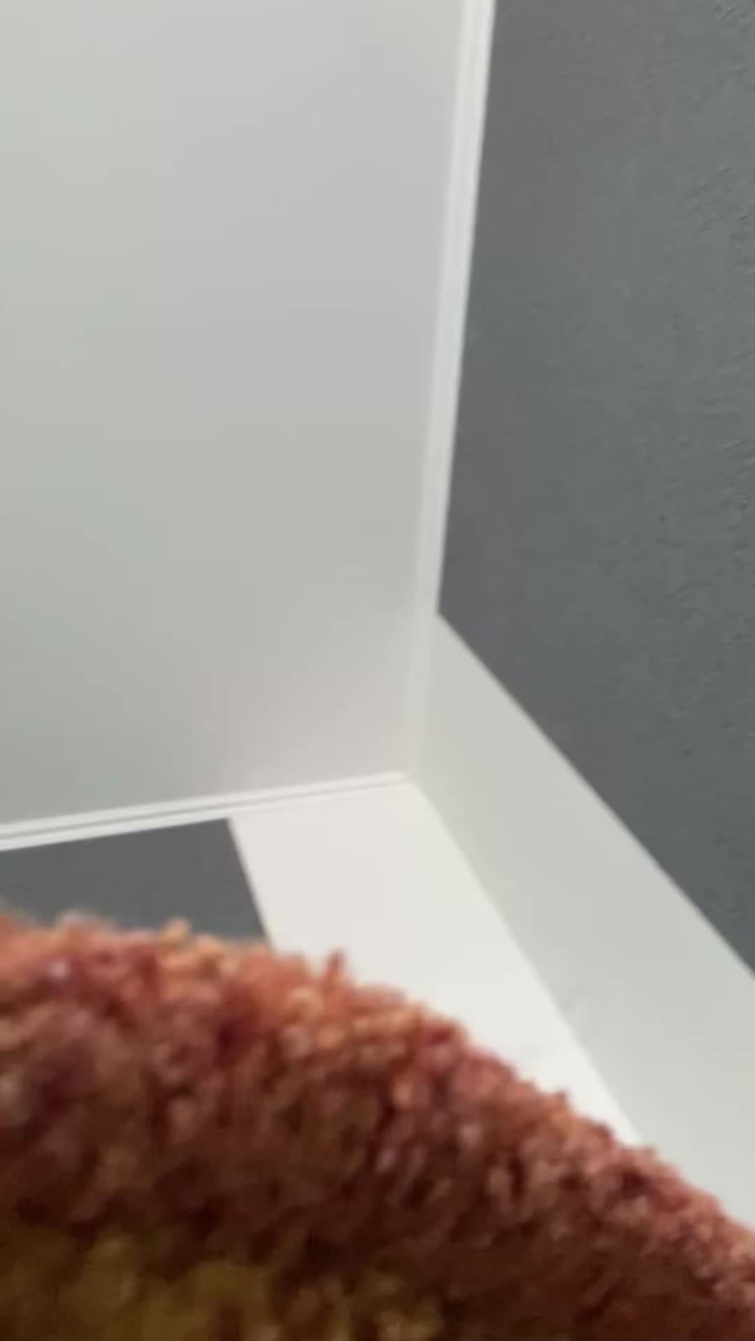 Josie Addington (@josie.addington) - Urlebird