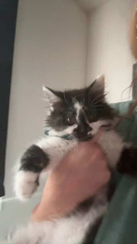 yungfreckz (@yungfreckz) - Urlebird