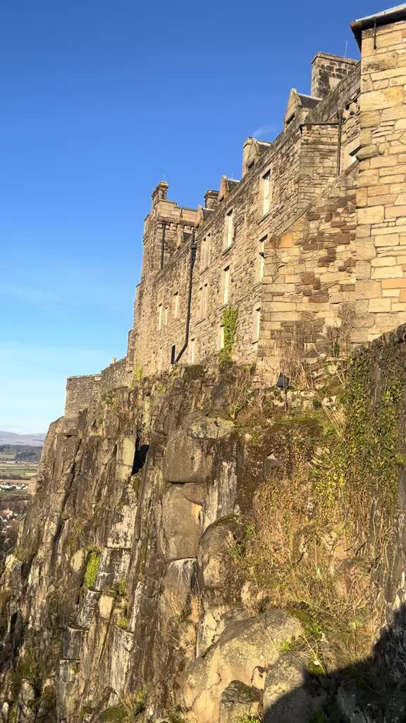 Highland bunny (@highland.bunny) - Urlebird