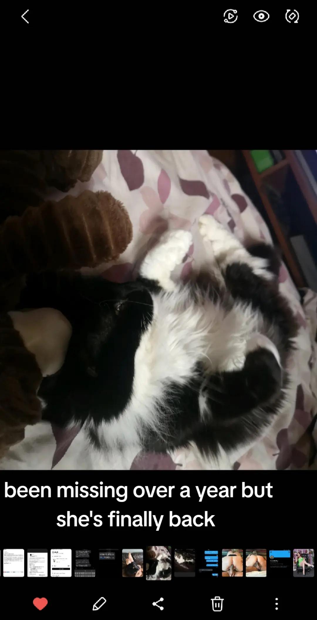 Vicki peach (@vickipeachx) - Urlebird