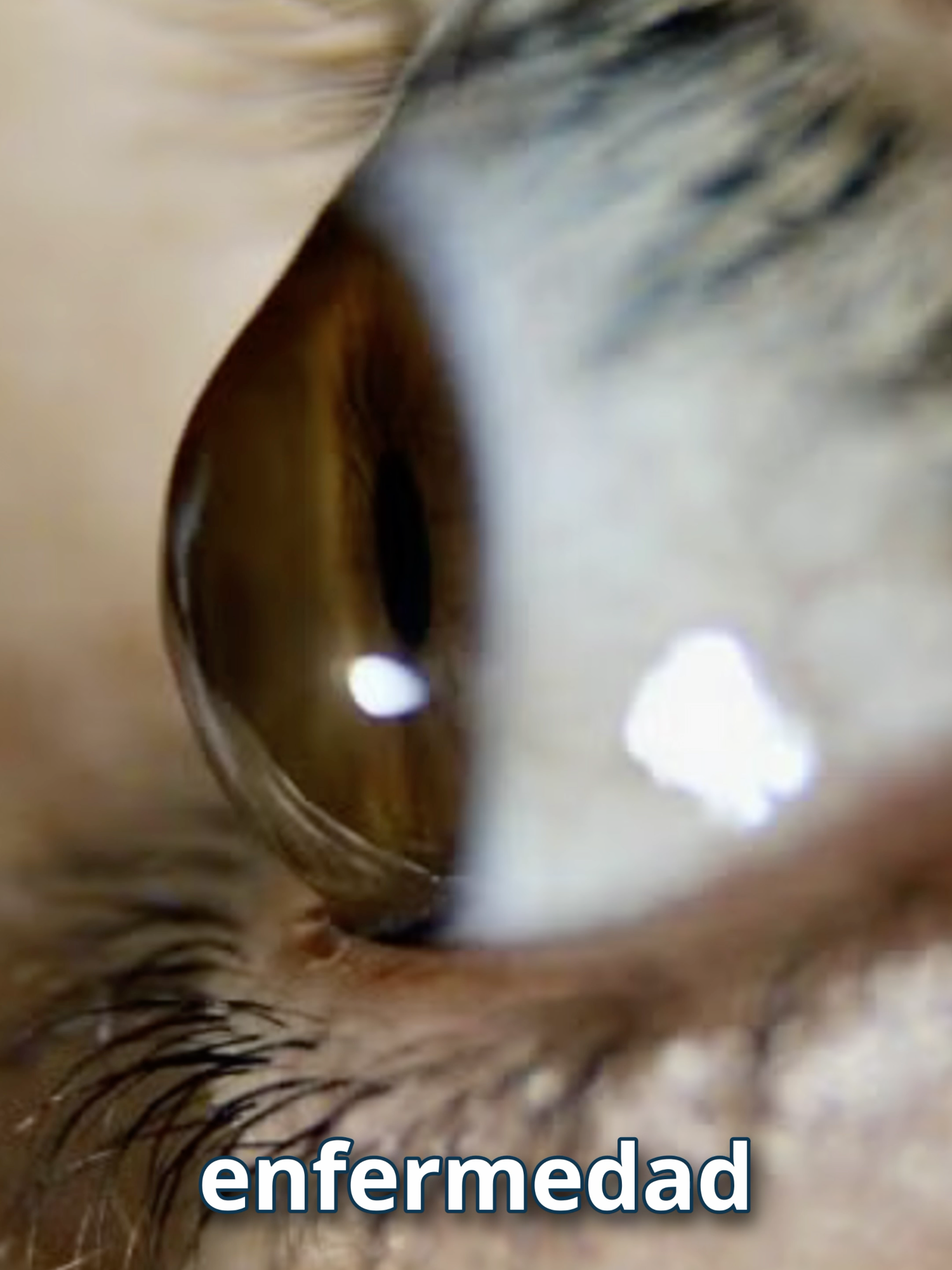Tips de salud ocular y postural que | Bryan Pacheco (@fisiobryanpacheco)
