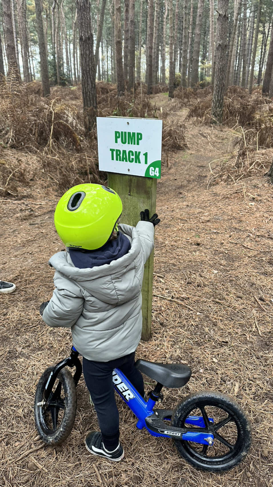 Ashlee Louise (@ashlee_louise) - Urlebird