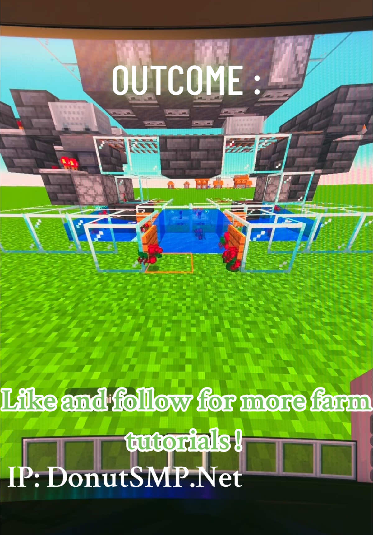 Best berry farm on donut smp with | vyn3tra (@vyn3tra)