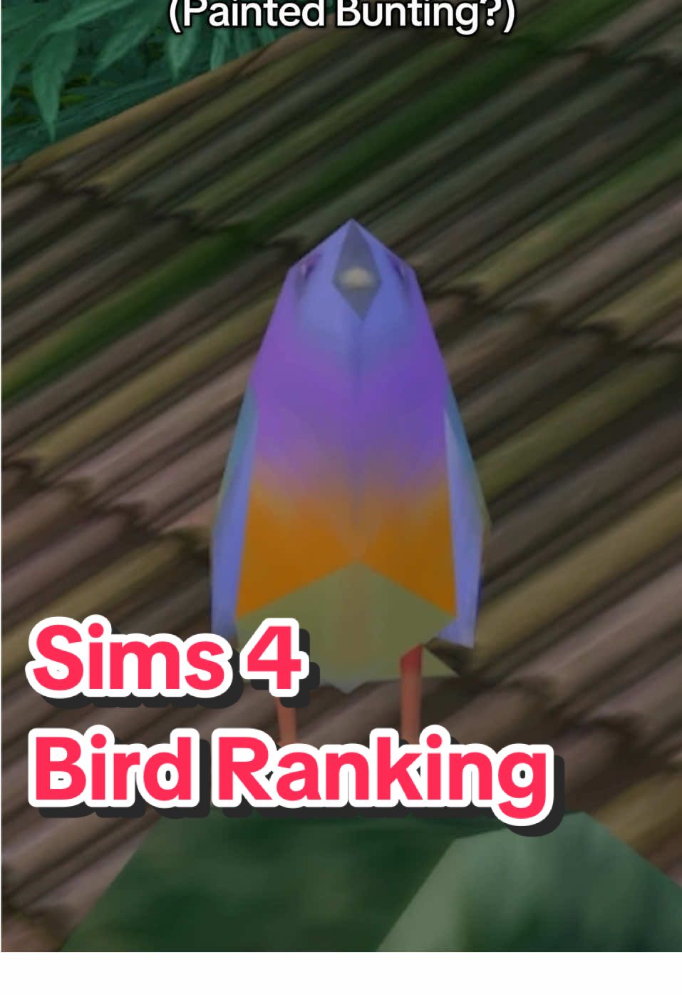 Ranking the Sims 4 birds with no | MadelineSimming | Sims 💕 ...