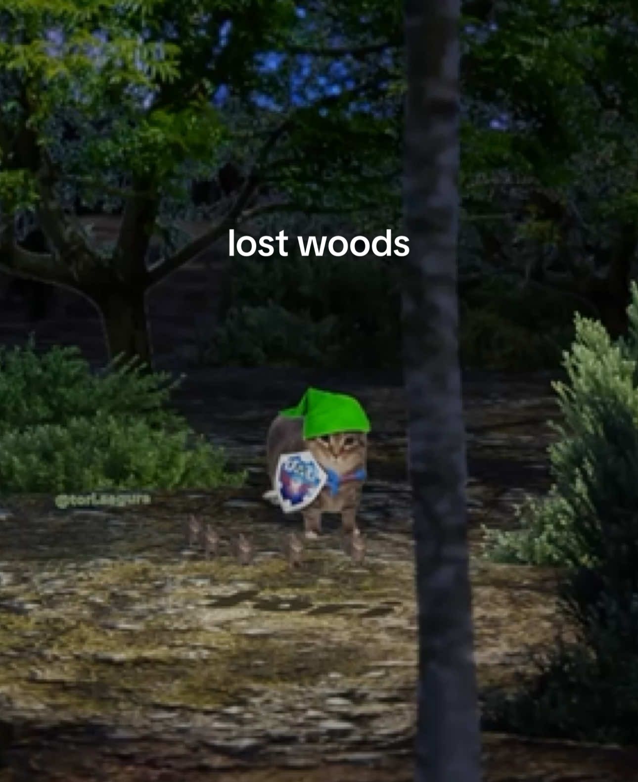 Lost uias 🌲 @Ethel the OIIA Cat 😼 OIIA | Tori (@tori.segura)