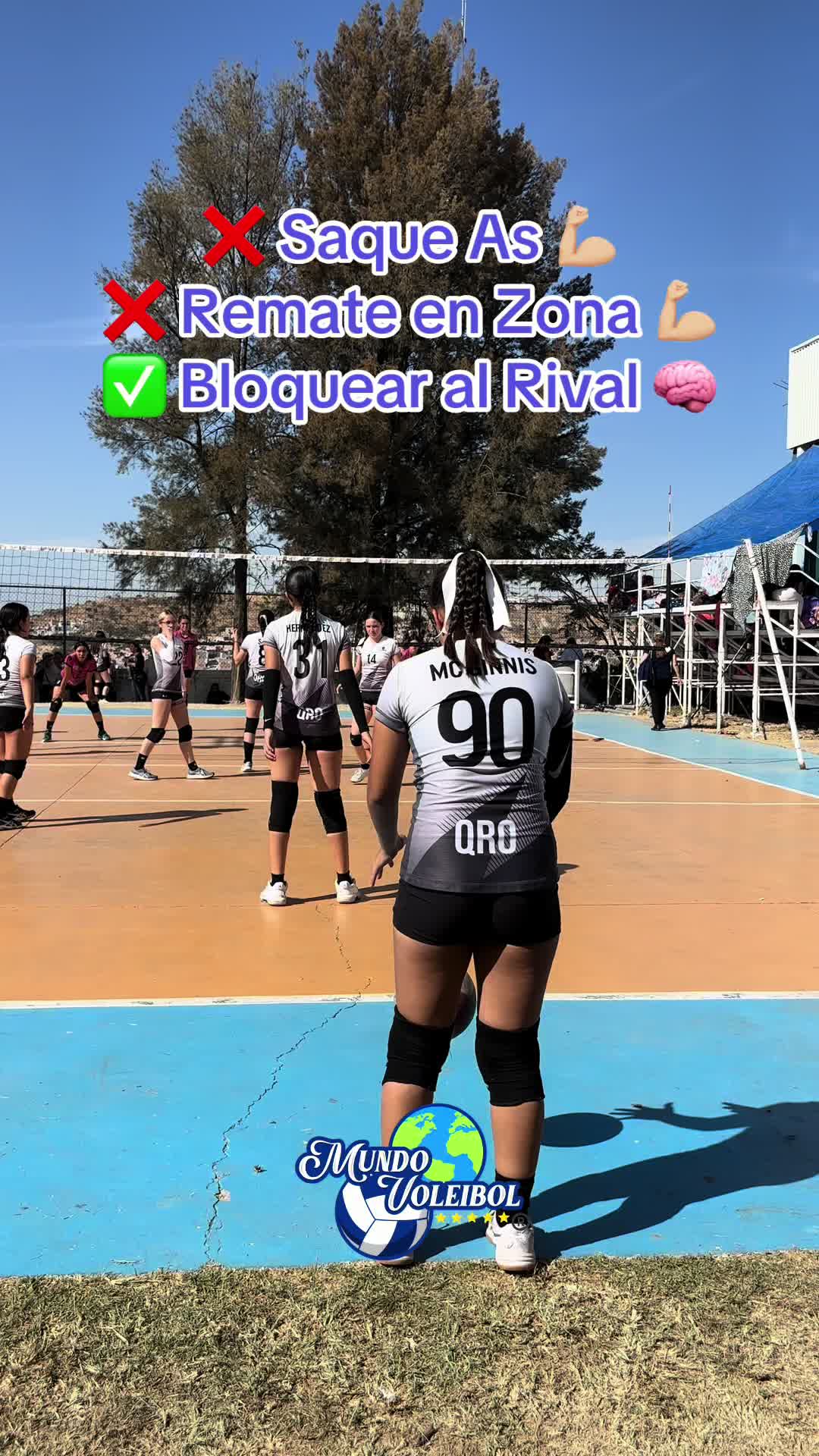 Mundo Voleibol 🌎🏐 (@mundovoleiboloficial) - Urlebird