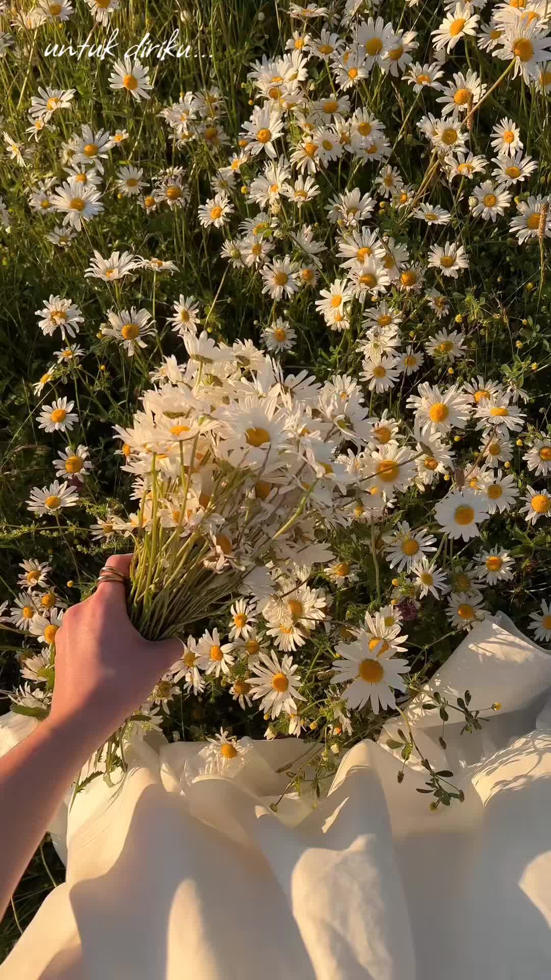 MommyTa (@mommy.itha) - Urlebird