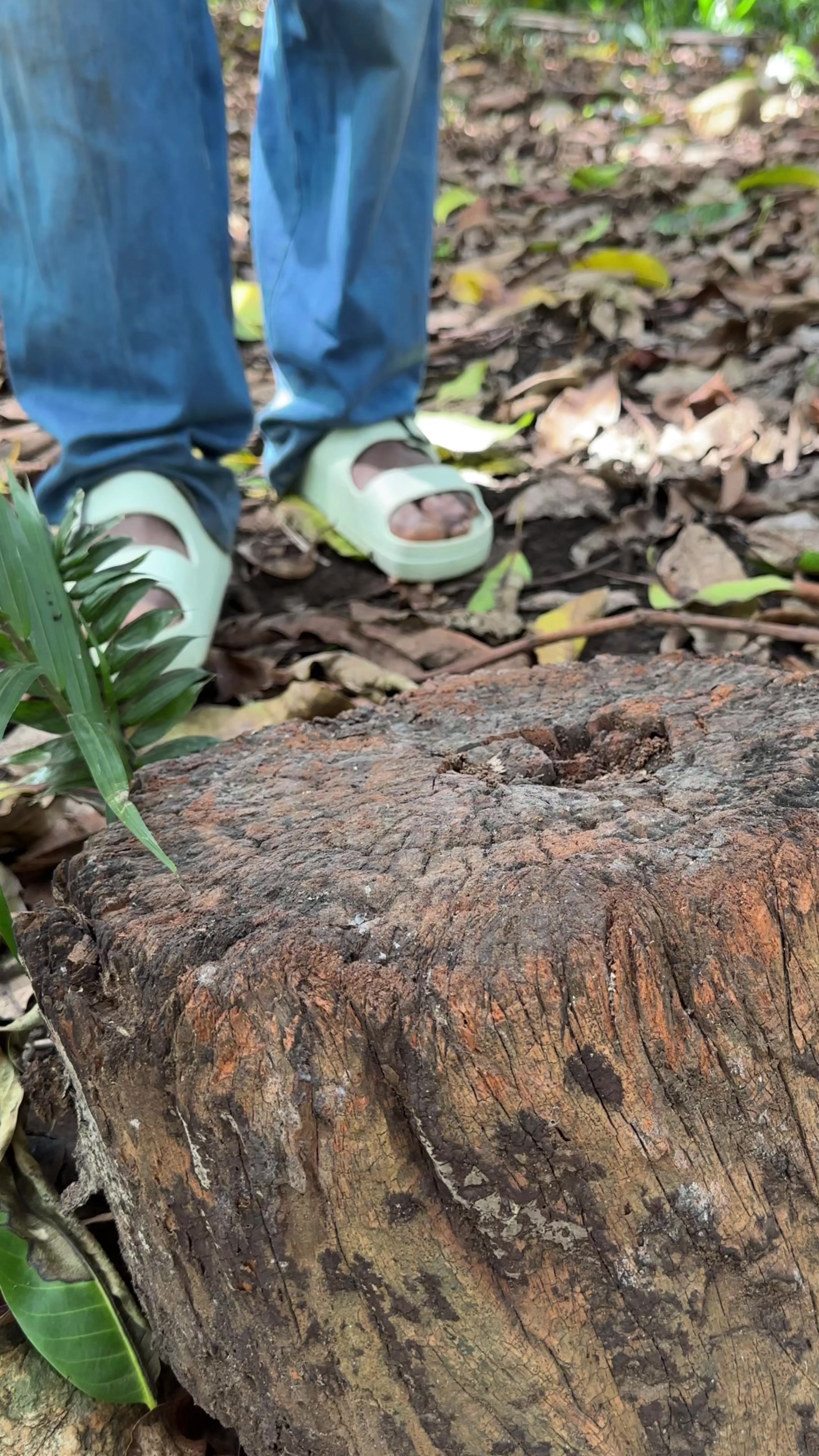 Survival Skills: Useful Lifehack For | Mandiya Joseph (@mandiyajoseph)