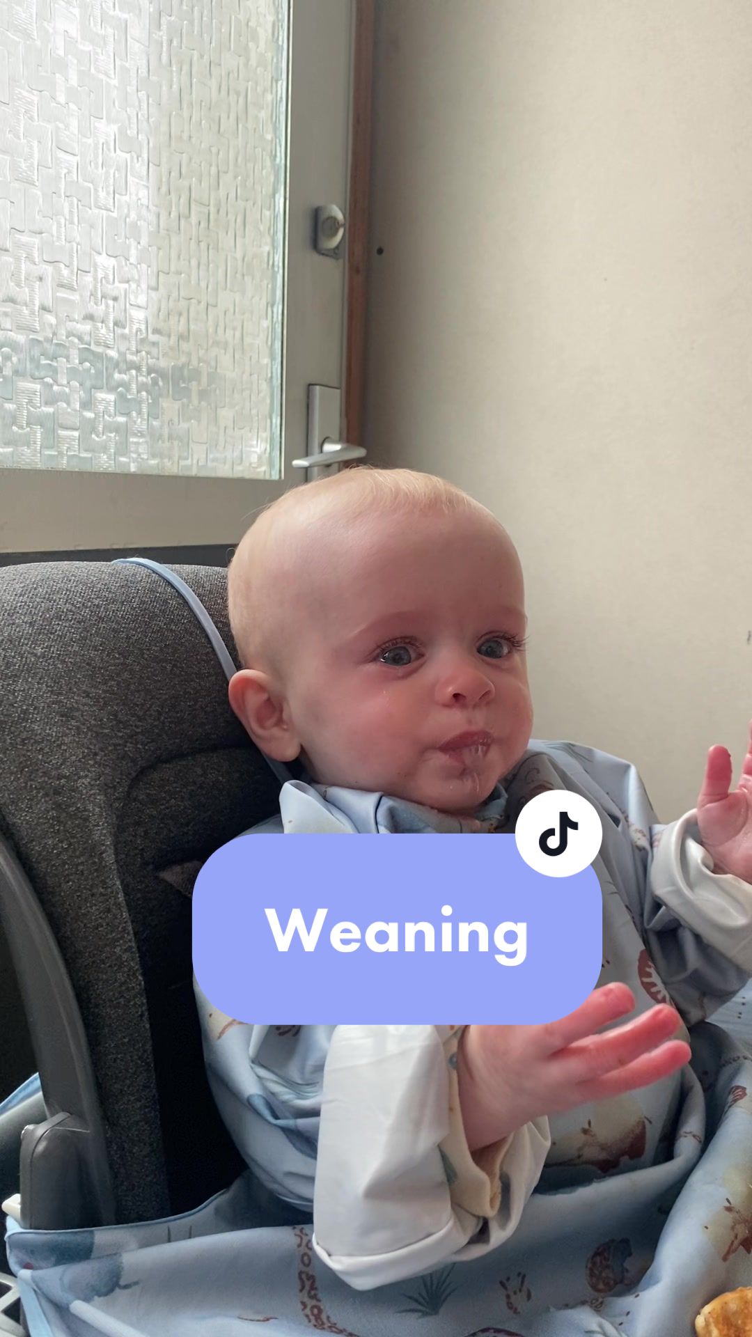 Ashlee Louise (@ashlee_louise) - Urlebird