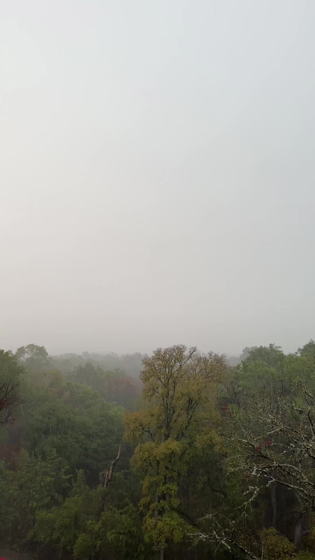 So thankful for the rain!! ⛈️ | Aisha Ramirez Lucio (@aisharamlucio25)