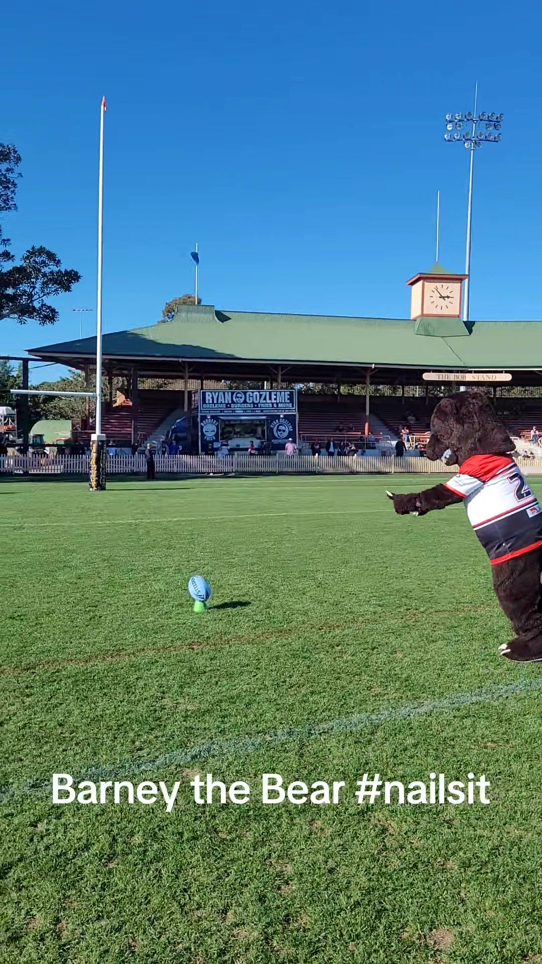 North Sydney Bears (@northsydneybearsofficial) - Urlebird
