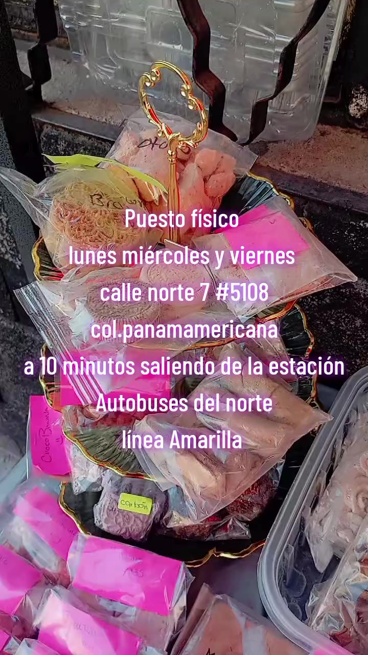 Jemca Suculentas (@jemca.suculentas) - Urlebird