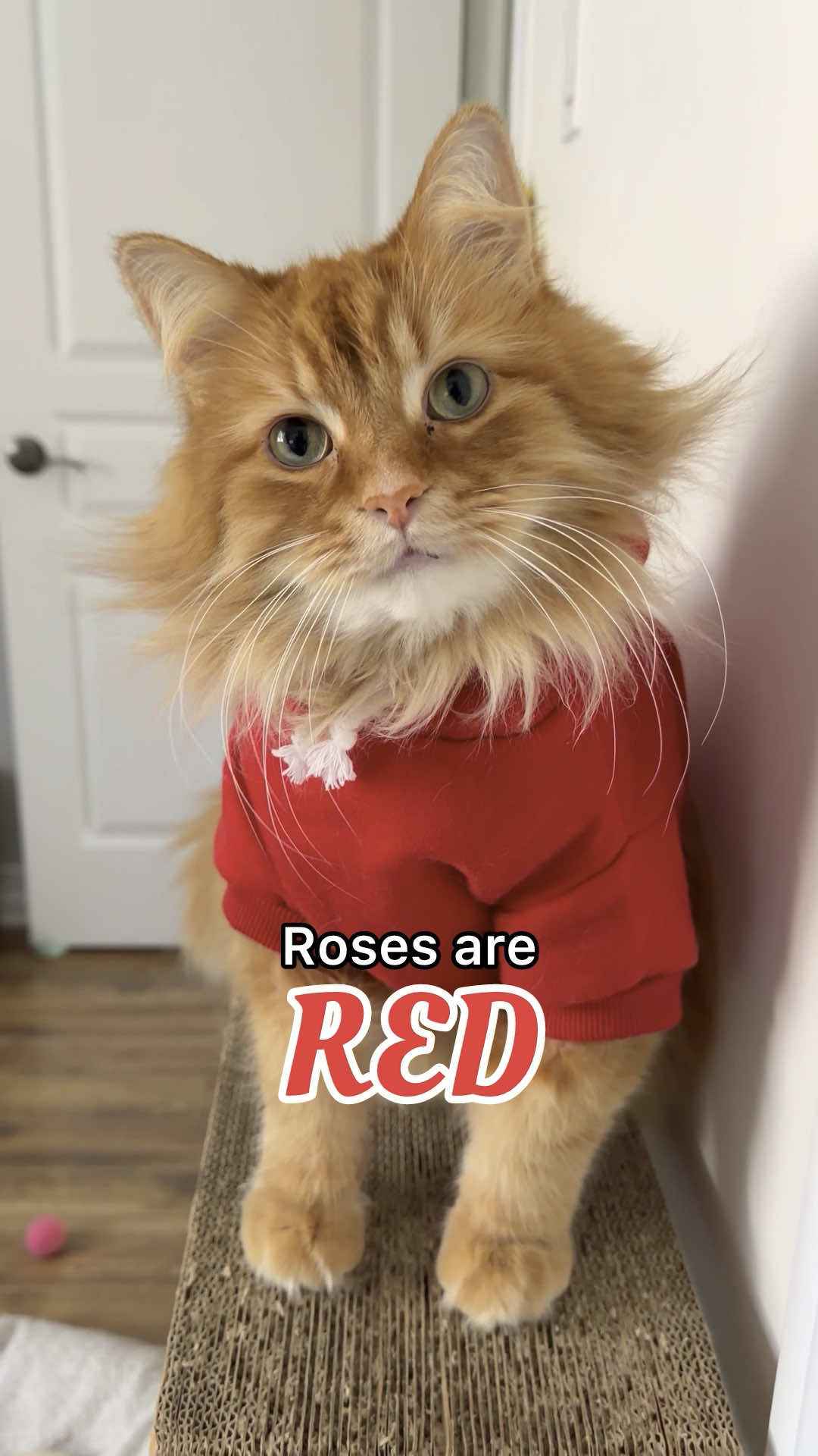 Это работает не так! | Брайан Мозер | Суантом (@_suantom_)