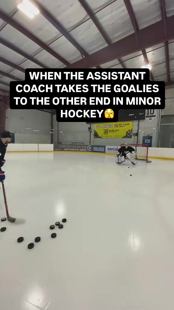 456 hearts, 22 shares, 7 | shaked (@shakedgig)