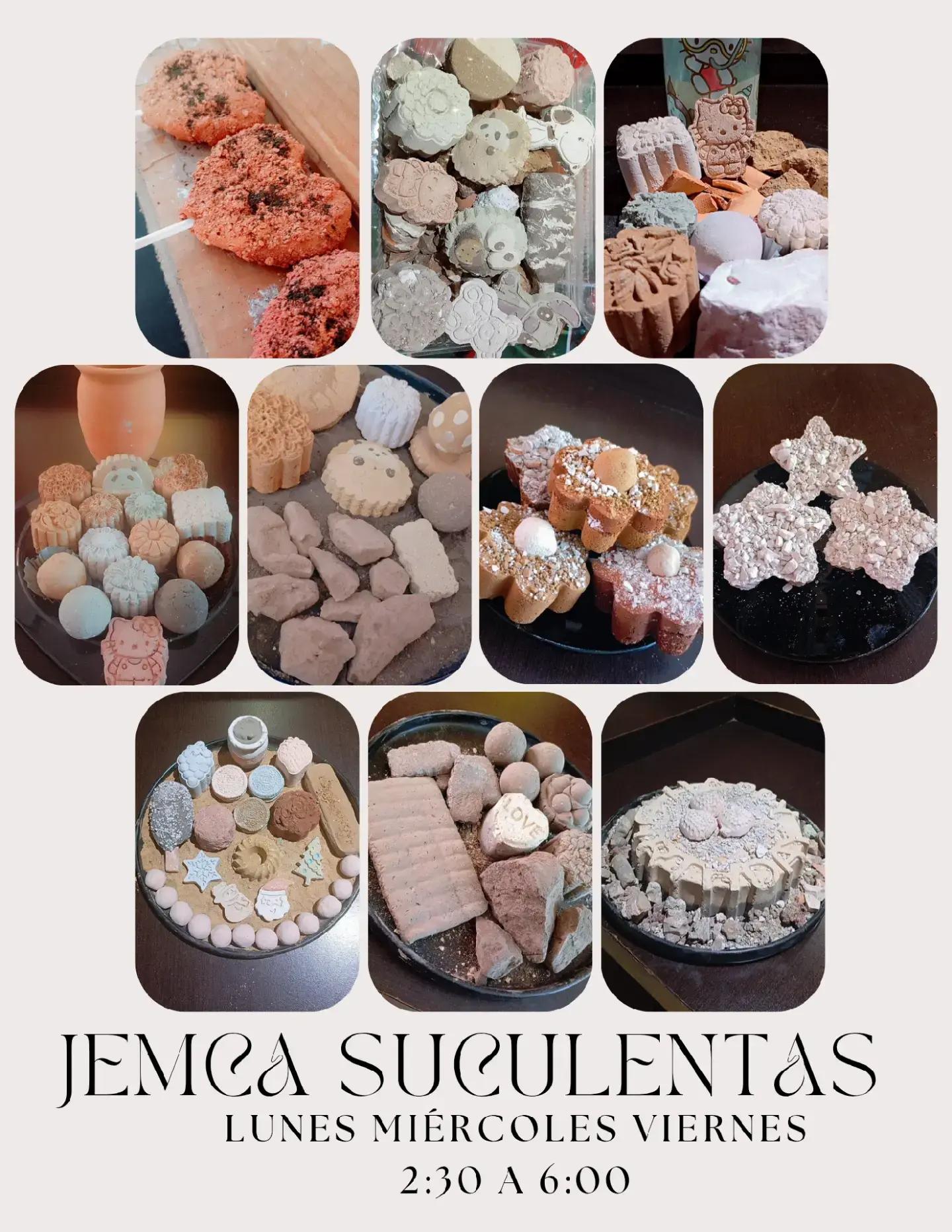Jemca Suculentas (@jemca.suculentas) - Urlebird