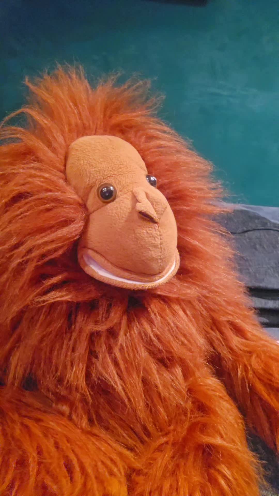 Life according to Barry (@ginger_barry) - Urlebird