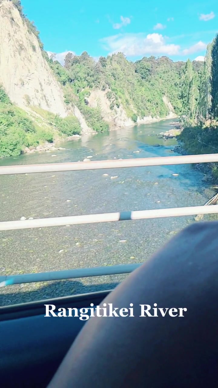 Beautiful spot in NZ Rangitikei River- | Ana_Jez1 (@ana_jez1)