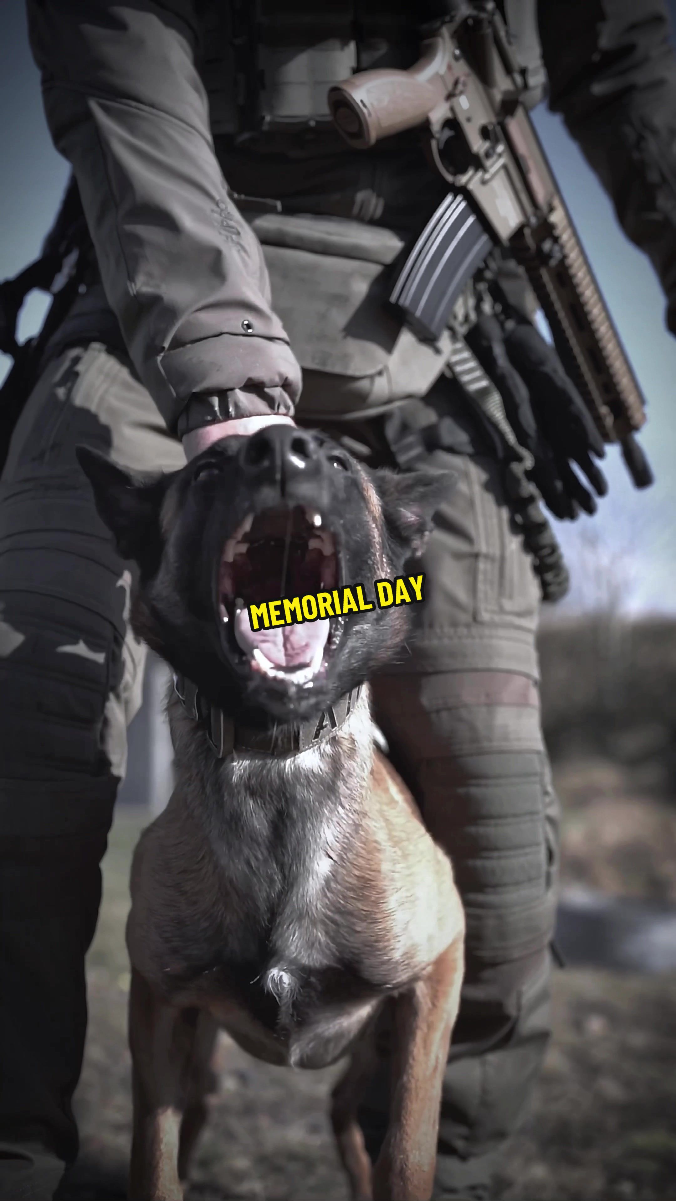 CERBERUS | Michael Rogosin (@shades_of_cerberus) - Urlebird