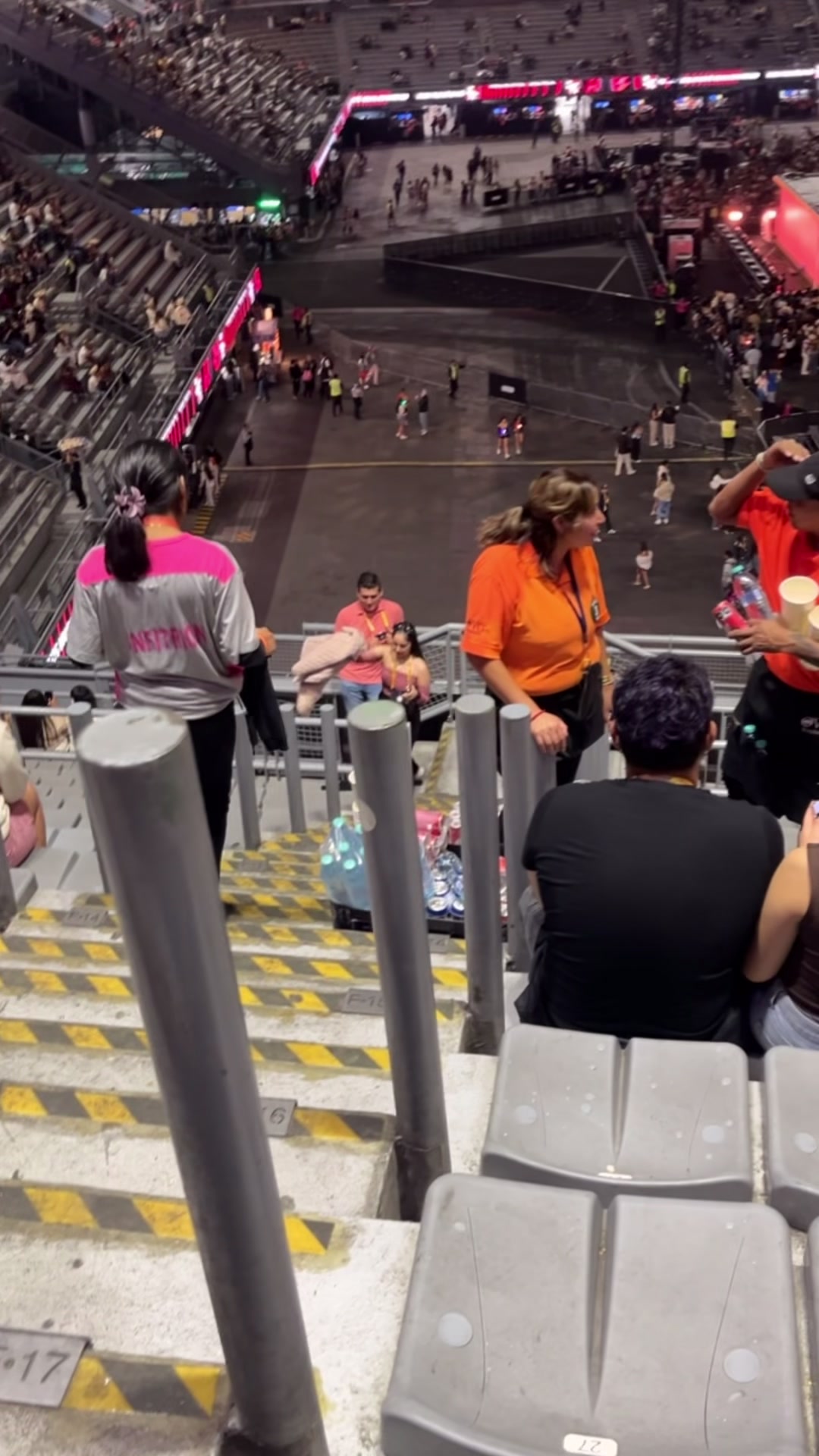 Best berry farm on donut smp with | vyn3tra (@vyn3tra)