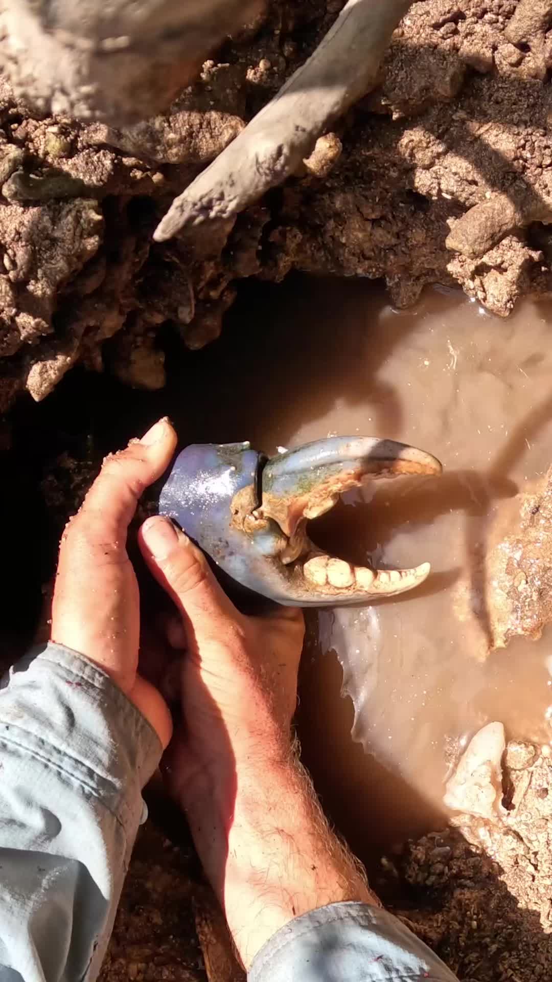 Strick & Fran (@strick.and.fran) - Urlebird