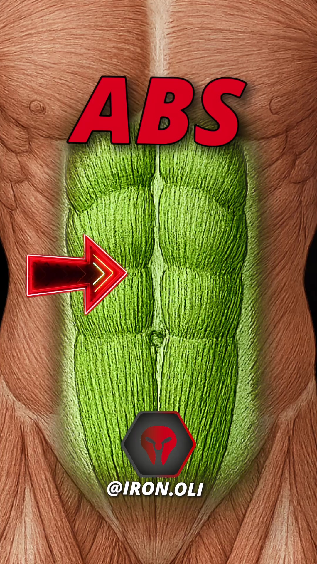 3 Levels of Abs Training (Do This | Oliver Klein (@iron.oli)