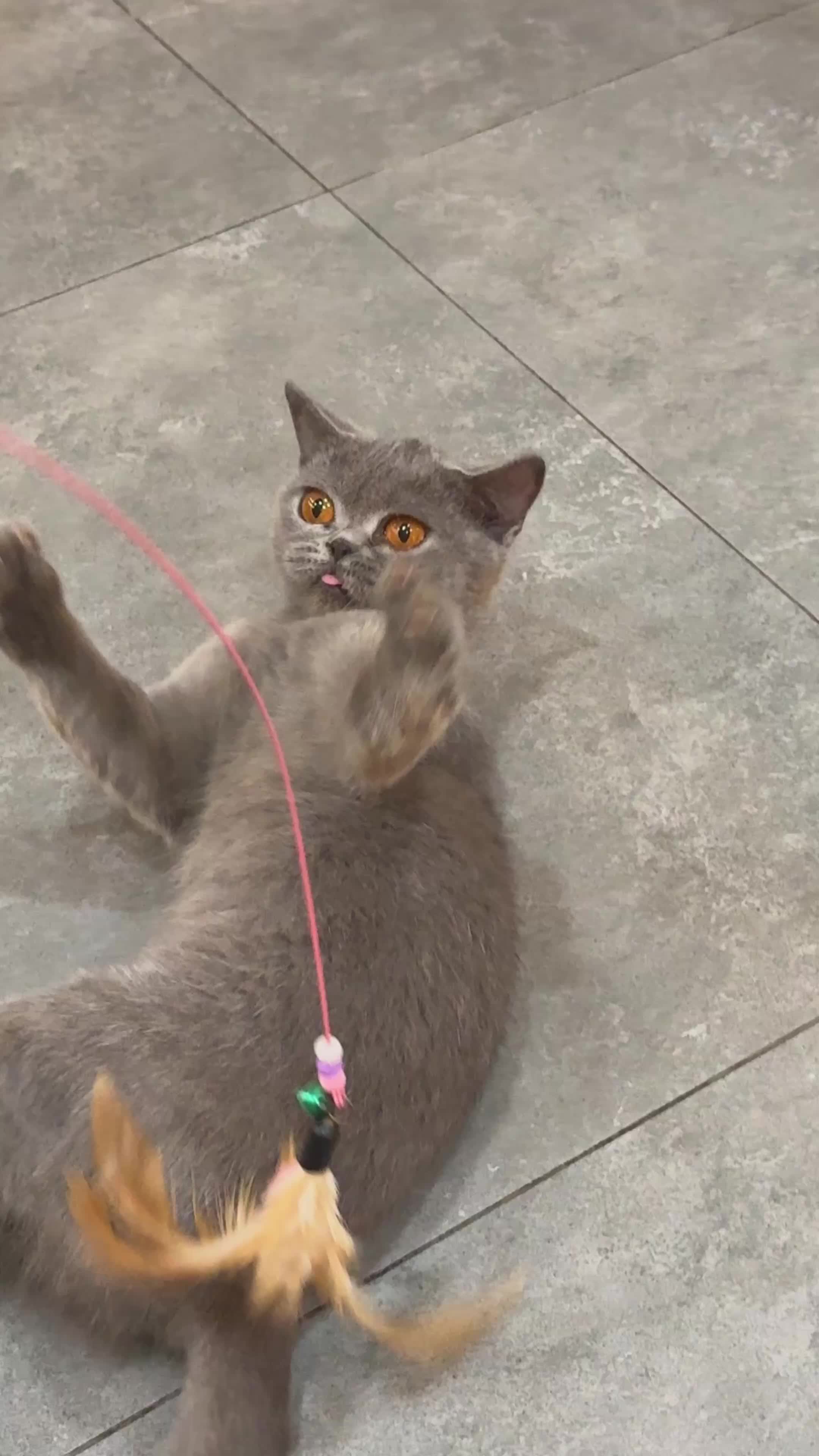 Alonemimi (@alonemimi8) - Urlebird