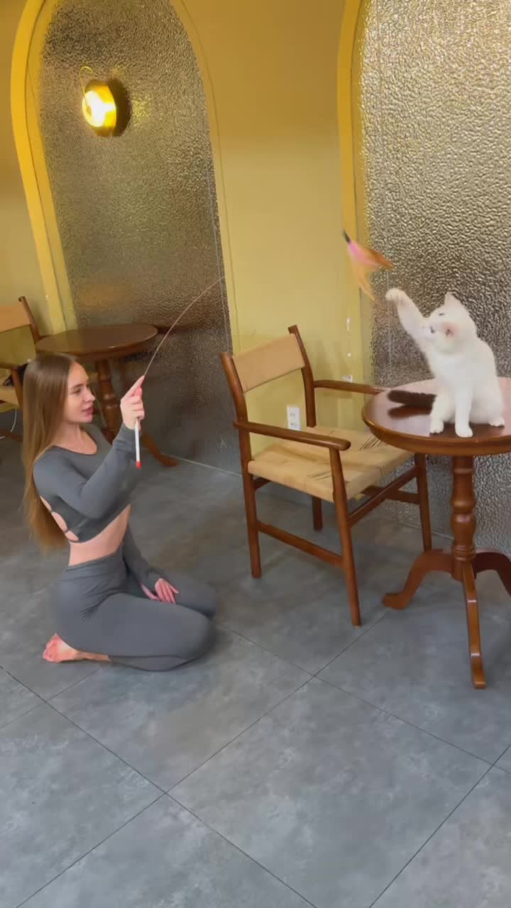 Alonemimi (@alonemimi8) - Urlebird