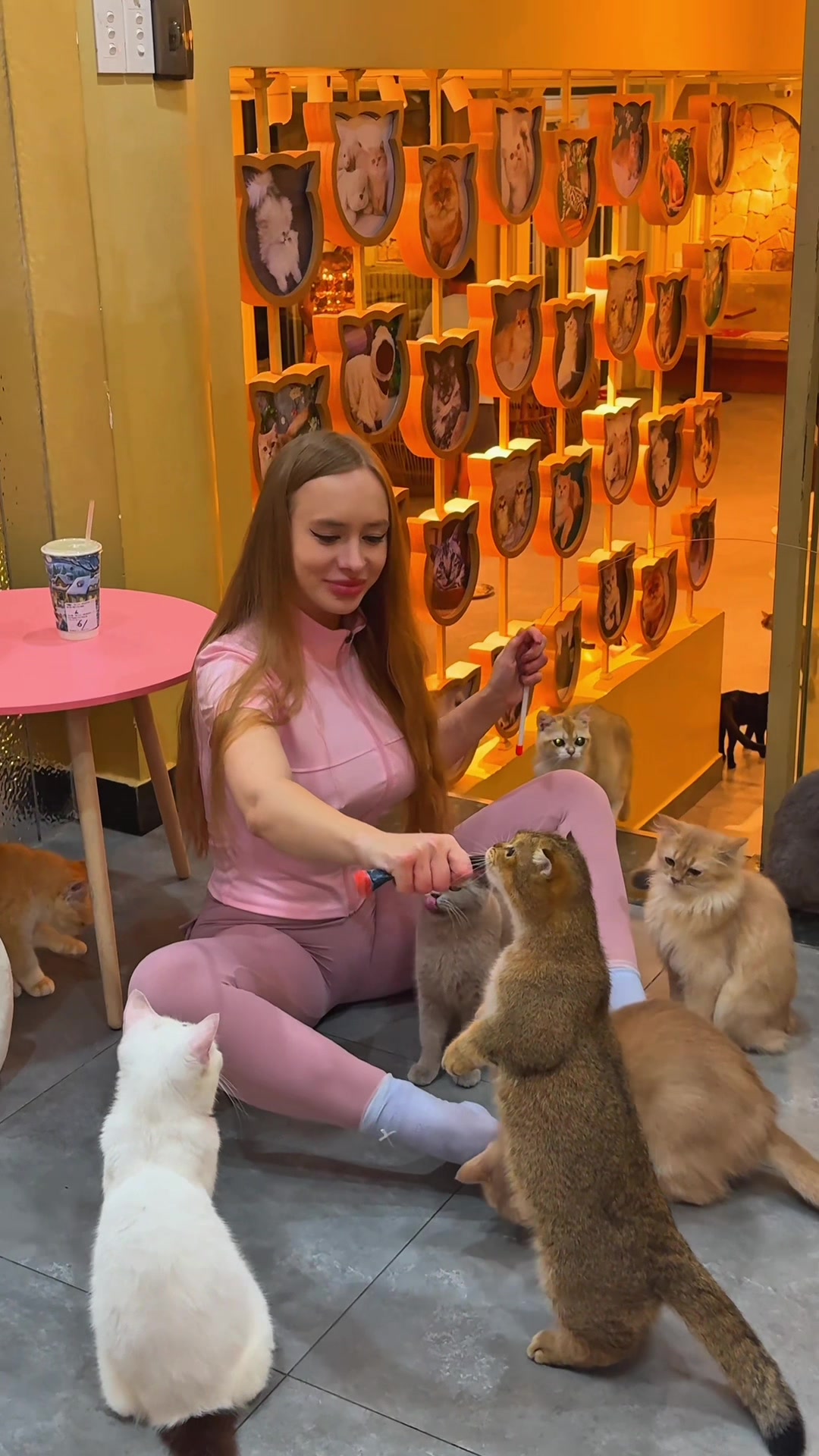 Alonemimi (@alonemimi8) - Urlebird