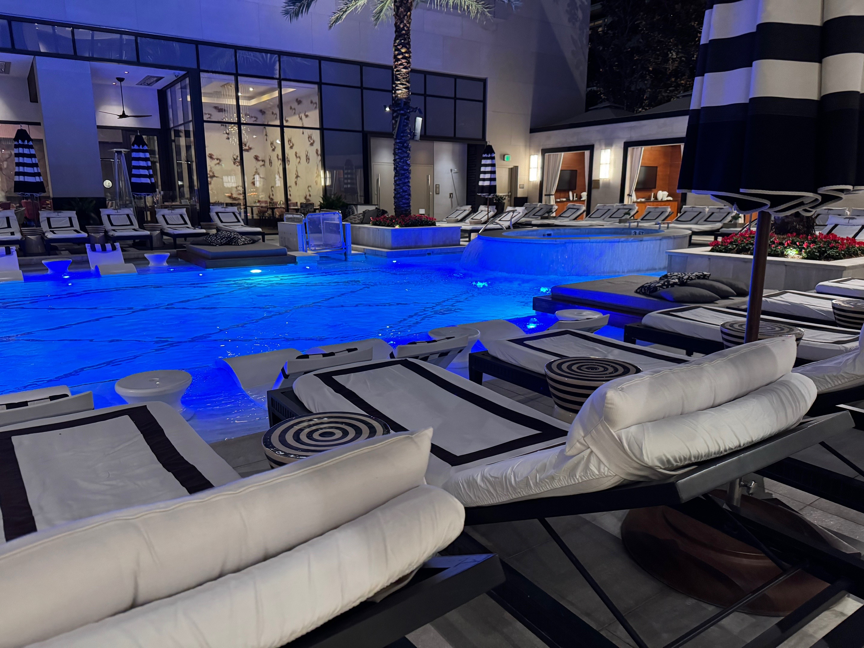 Ashley Klein Maddision (@ashleymaddisionklein) - Urlebird