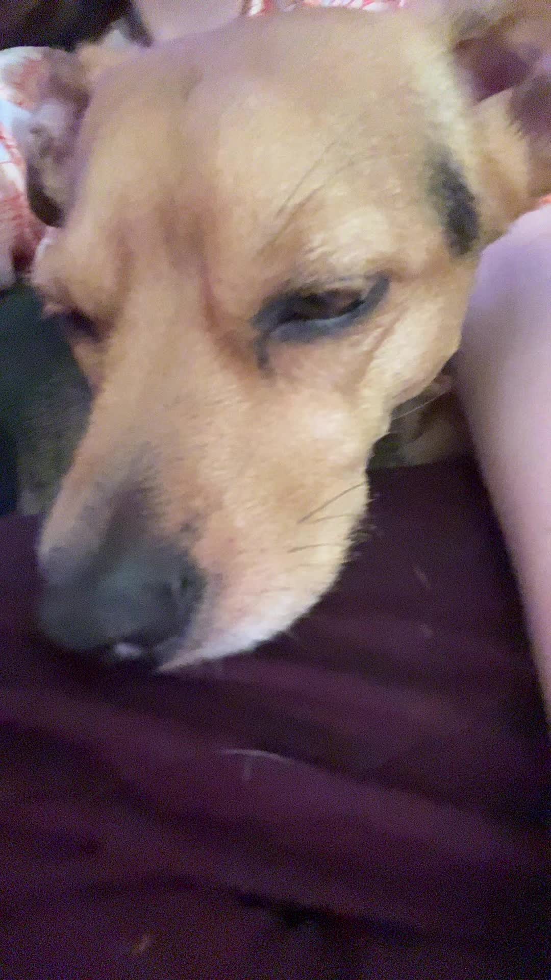 unoangryone (@unoangryone) - Urlebird