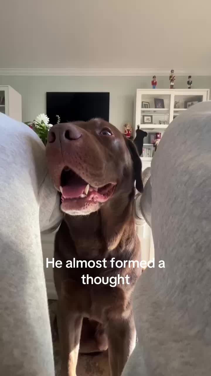 🌞 | ihearttrenity (@ihearttrenity)