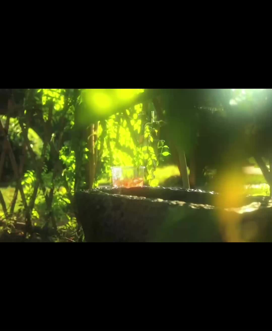 kapi cam (@kapi.cam) - Urlebird