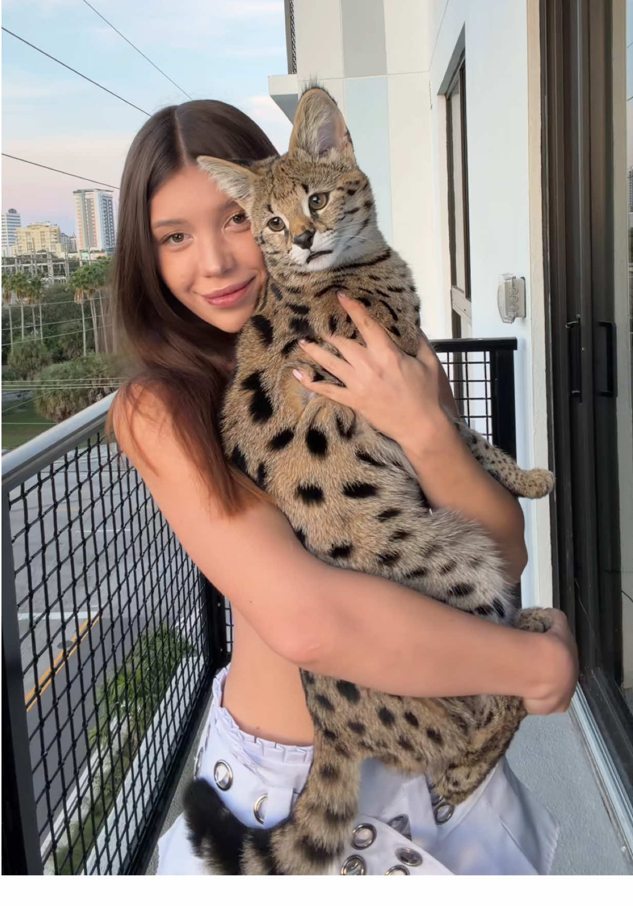 Evi 🌺 (@littlebirdevi) - Urlebird