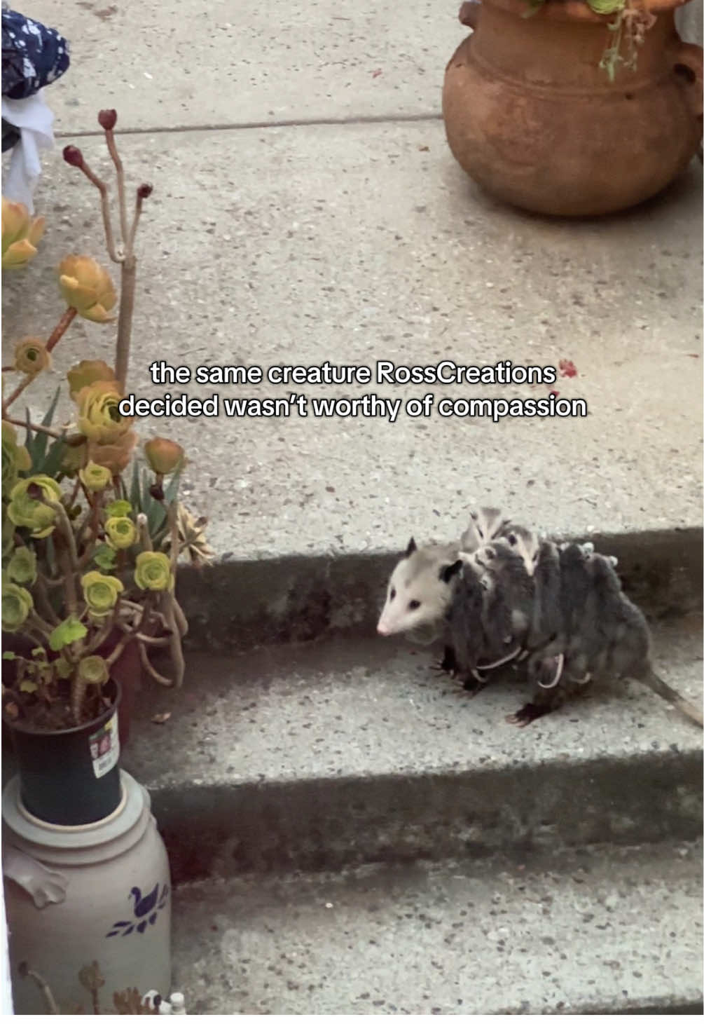 This advice didn’t help @Brooke Monk | Ekaterina Lisina (@lisina15)