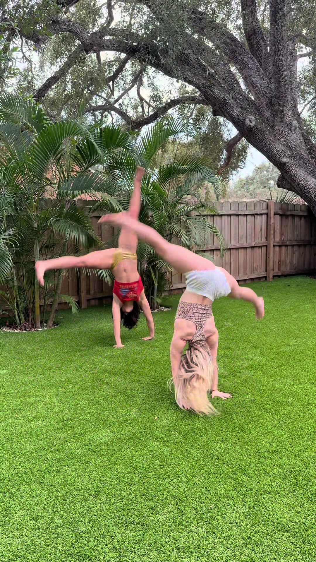 Kai Razy (@kairazydays) - Urlebird