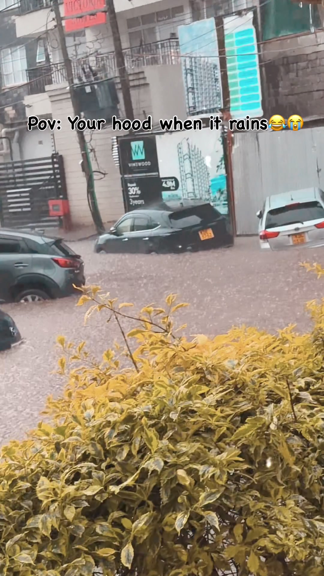 nimo_njoki (@nimo_njoki) - Urlebird