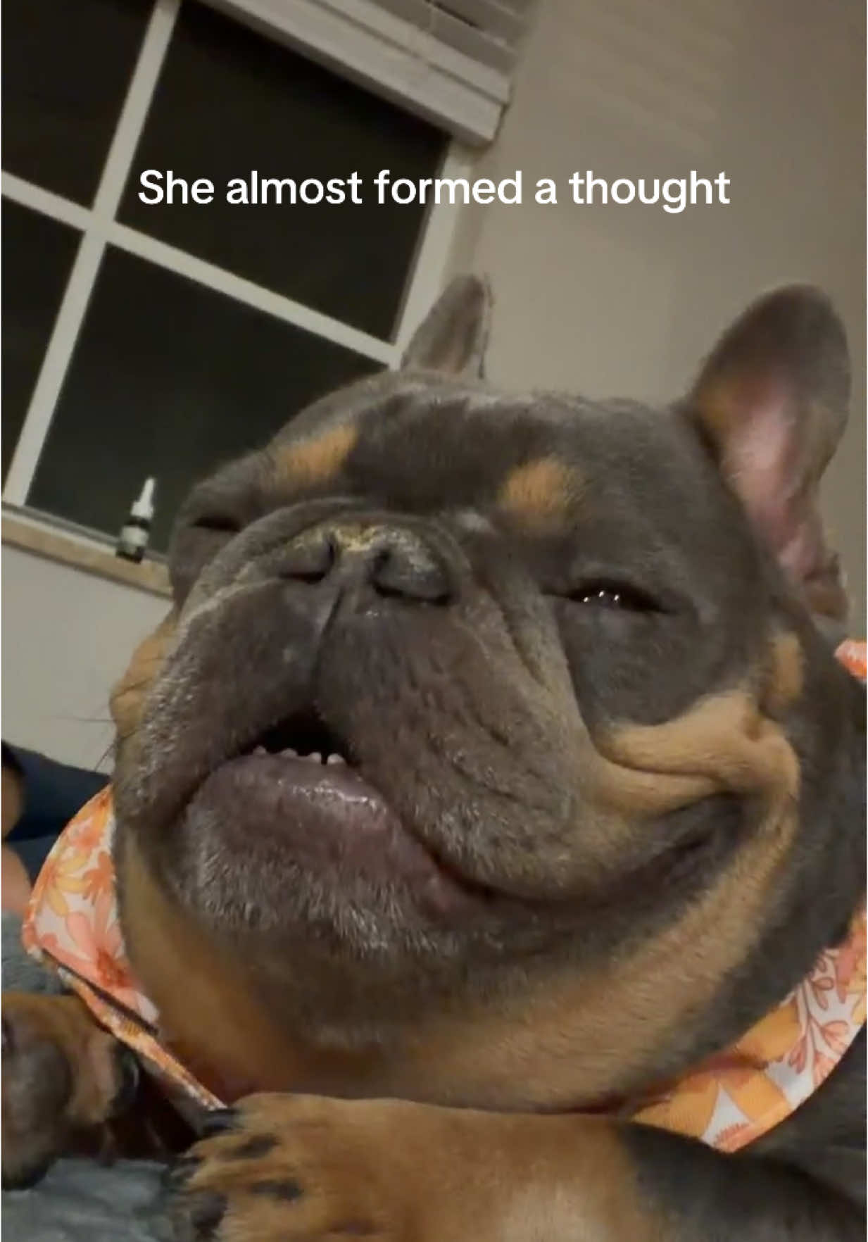 Pretty girl baddie FYP- watch the | Relaxation Hypnosis ...