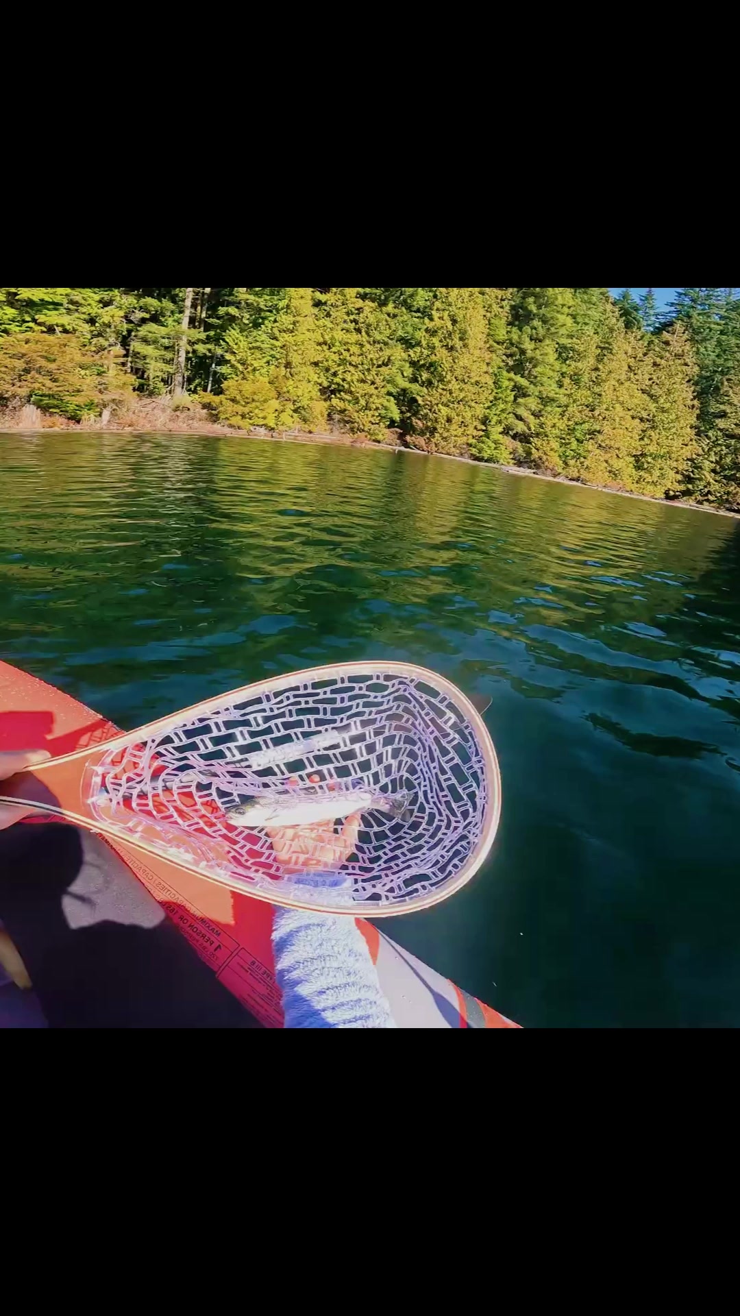 Alice Outdoors (@aliceoutdoorsextended) - Urlebird