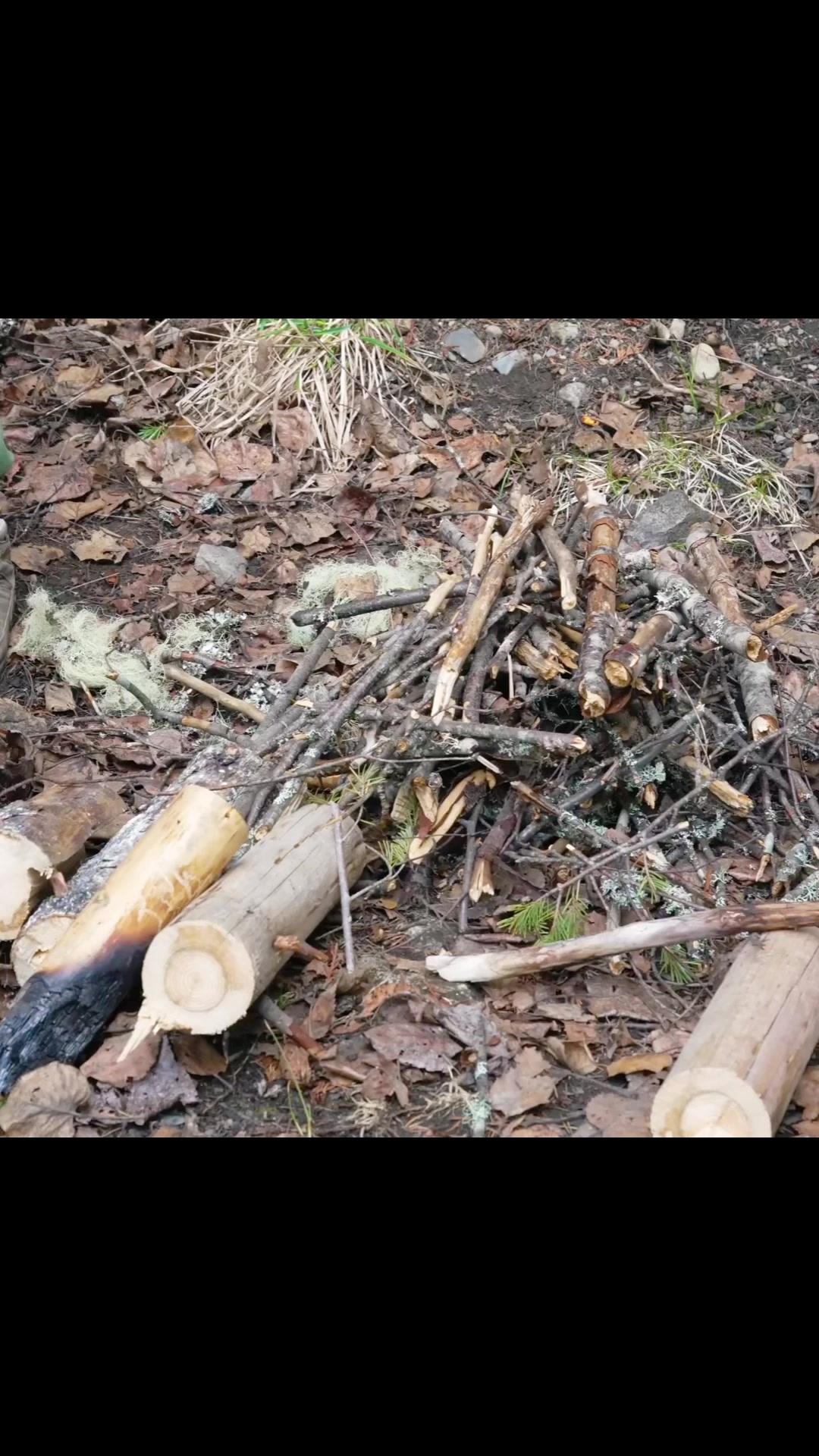 Alice Outdoors (@aliceoutdoorsextended) - Urlebird